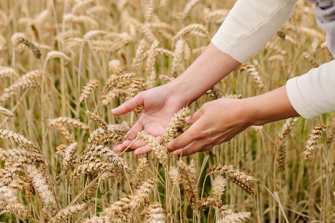 Peergroup - Graan/3epho